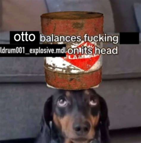 Why Did Otto Do This Is He Stupied Rjerma985