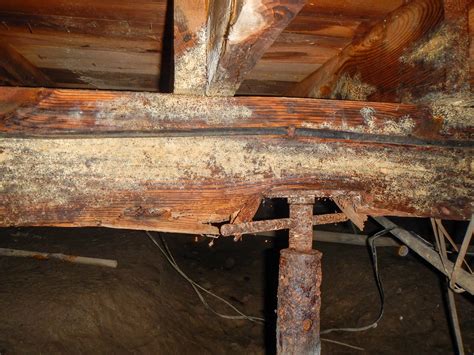 How To Replace Rotted Floor Beams Floor Roma