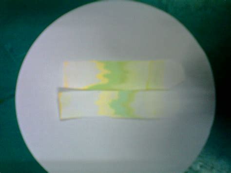 叶绿素分离叶绿素分子叶绿素第3页大山谷图库