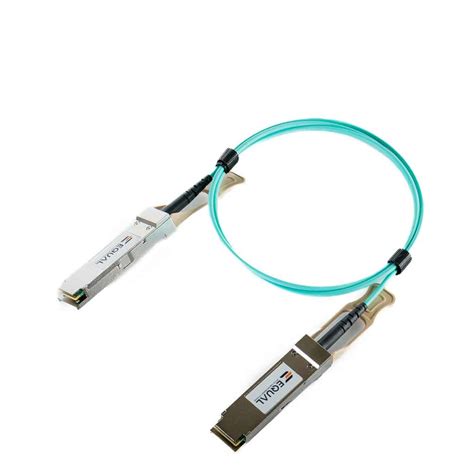 100g Qsfp Qsfp Aoc 5m Eo Equal Optics