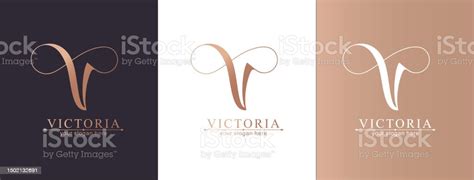 V 및 무한대 기호 V 문자 기호 템플릿 요소입니다 개인 모노그램 벡터 우아한 기호입니다 컴퓨터 글자에 대한 스톡 벡터 아트 및 기타 이미지 Istock