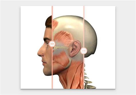 Js滑块拖动图片对比效果代码 图片特效 站长图库