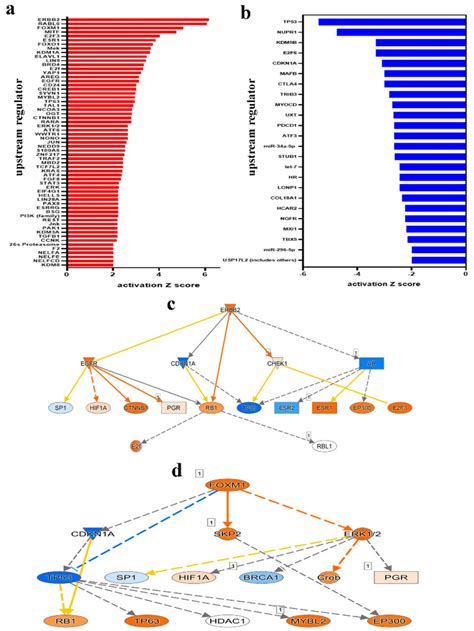 Multiple Altered Functional Categories And Signaling Networks In Crc Download Scientific