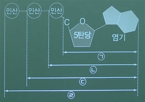 Atp아데노신 Or 아데닌리보스 Adp Amp뉴클레오타이드 네이버 블로그