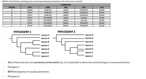 Solved Which Of The Below Phylogenies Is More Parsimonious