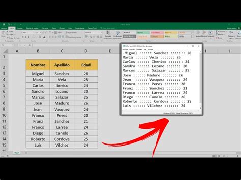 pasar archivo de texto a excel sheets