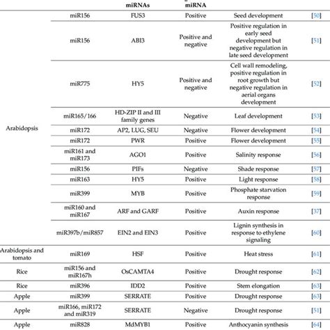 Summary Of Upstream Transcription Factors Of Mirnas Download Scientific Diagram