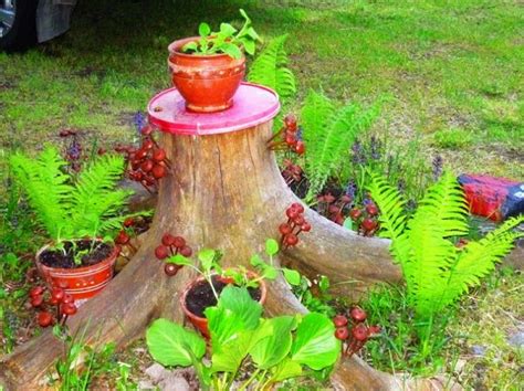 Amazing Tree Stump Ideas For The Garden Balcony Garden Web
