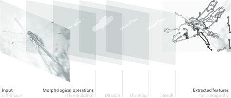 Visual Grouping Perceptual Binding Of Relatable Features Download
