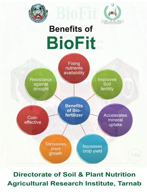 Dr Iftikhar Jan On Linkedin Trichoderma Is A Genus Of Fungi Known For Its Multifaceted Role In…