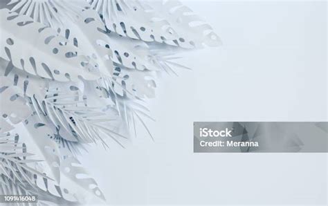 화이트 열 대 종이 팜 프레임 나뭇잎 여름의 열 대 잎 종이 접기 이국적인 하와이 정글 단풍 여름 배경 종이 잘라 최소한의 스타일입니다 3d 렌더링 0명에 대한 스톡 사진