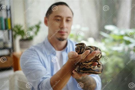 Man Holding Python In Living Room Setting Stock Image Image Of Relaxation Serenity 356278361