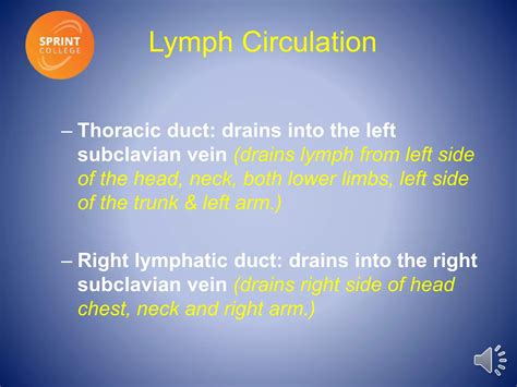 Lymphatic System Ppt