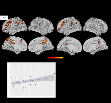 Successful Inhibitory Control Over Previously Rewarded Pr Relative To Download Scientific