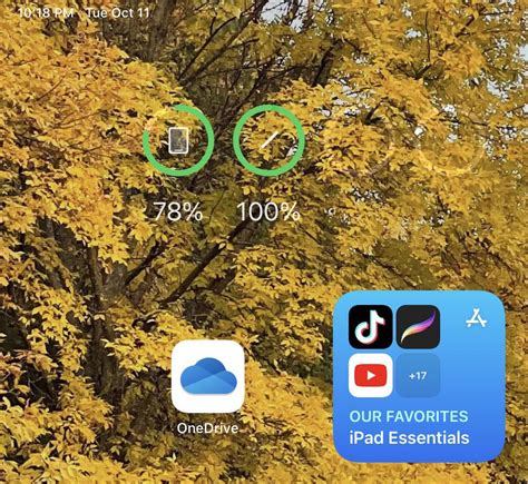 Todoist Widget Keeps Turning Into A Stack Widget Rios