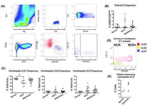 All Three Ilc Subsets Are Present In Inflamed Human Livers A Ilc