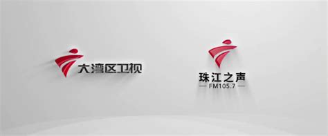 大湾区卫视的主页 新浪网