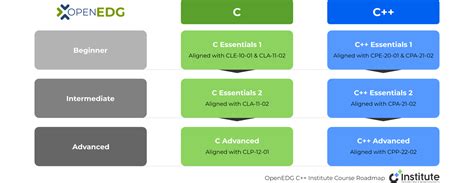 Openedg C Institute