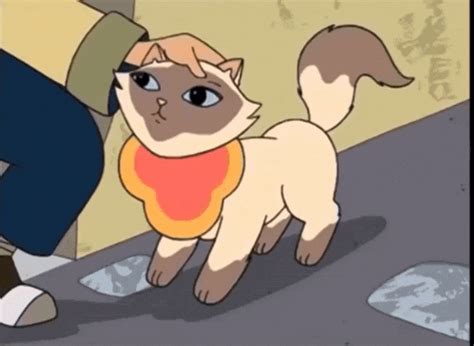 Sagwa Cat  Sagwa Cat Discover And Share S