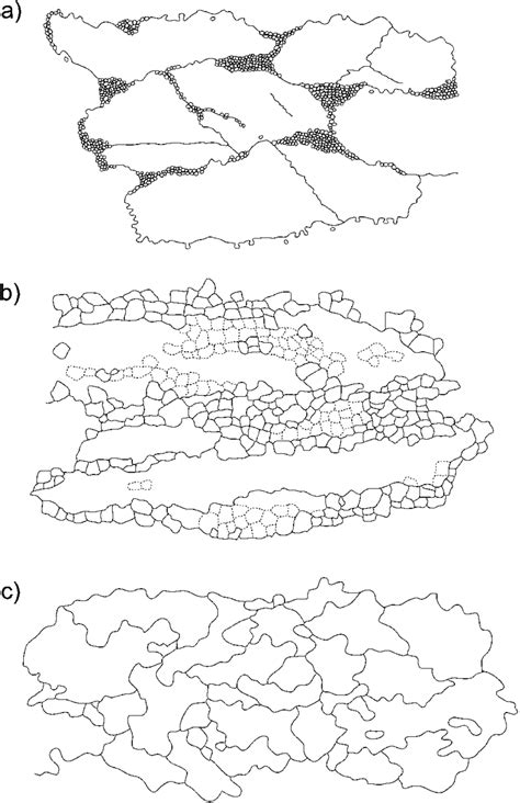 Characteristic Microstructures Of The Three Dynamic Recrystallization Download Scientific