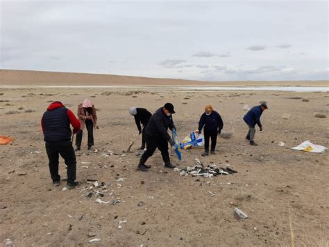 нийтийн хог цэвэрлэгээ болов