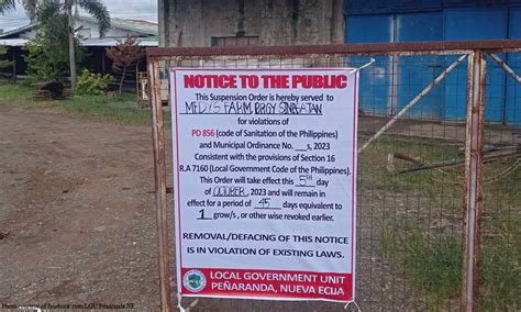 3 Poultry Farm Pinutakti Ng Langaw Pinasara