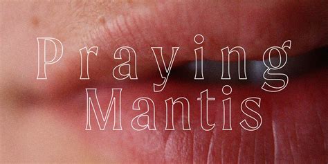 Praying Mantis Sex Position Tips And Advice