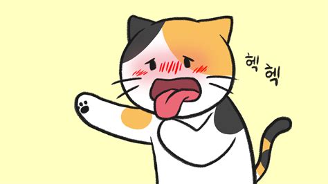 고양이에게 위험한 꽃 5종류 백합은 절대 안 돼요 비마이펫 라이프