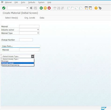 Do Sap Gui Customization By Ashfaqahmed7 Fiverr Do Sap Gui Customization By Ashfaqahmed7 Fiverr