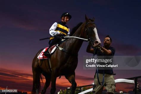 12 200 Daniel Moor Photos And High Res Pictures Getty Images