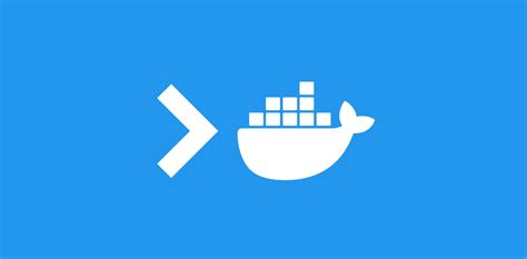 Mastering Docker Shell Commands A Comprehensive Guide Tech Hyme
