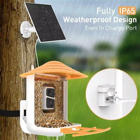 Bf09 Smart Bird Feeder With Ai Camera And Solar Charging