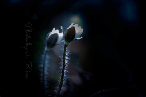 천주교 부산교구 몰운대성당 오늘의말씀김종오신부16426부활5주화 나는 너희에게 평화를 남기고 간다 내 평화를 너희에게 준다 내가 주는 평화는 세상이