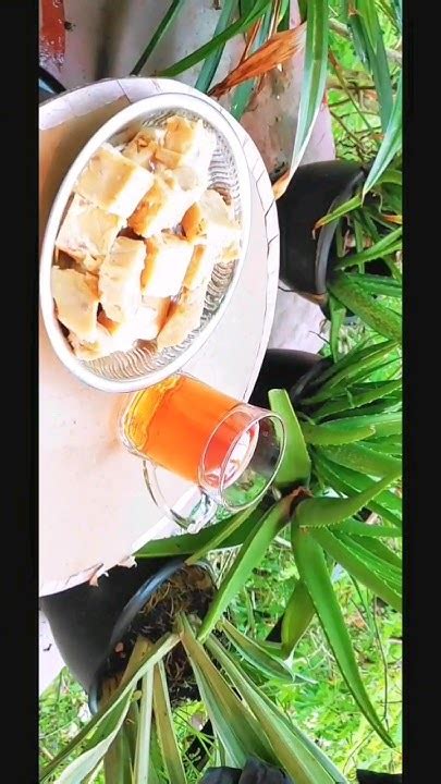 කිරිටොෆි හදමු How To Make Milk Toffee 🤗 Song Live Shorts Shortvideo Simplecookingjourney