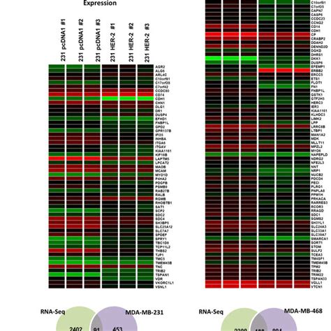 comparison of microarray data from isogenic clones and rna seq data