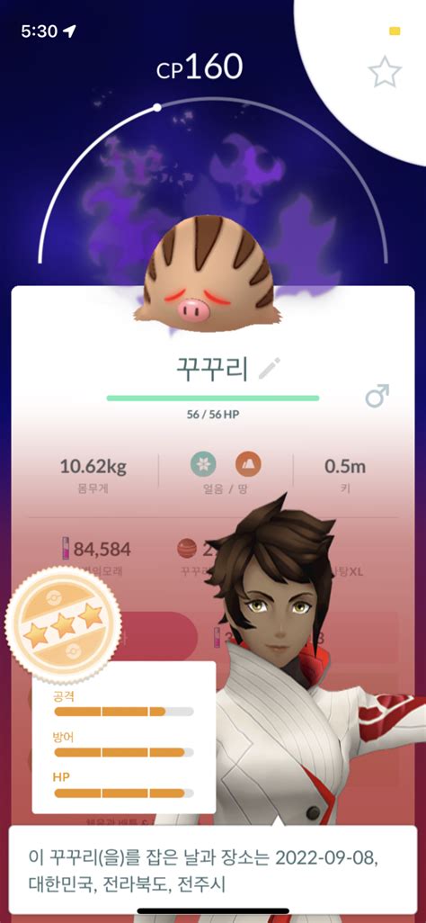 포고 그림자 꾸꾸리 지식in