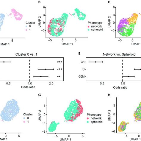 Umap Plot Colored By Unsupervised Clustering Into 3 Groups Download