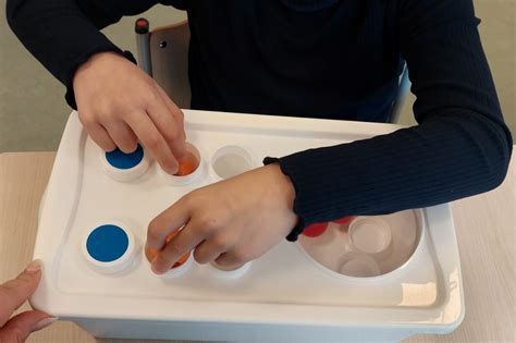 3 Color Sorting Version 2 Onetaskbox