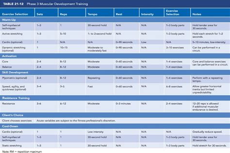 Nasm Muscular Development Phase Training Chart What Are These People Even Teaching R