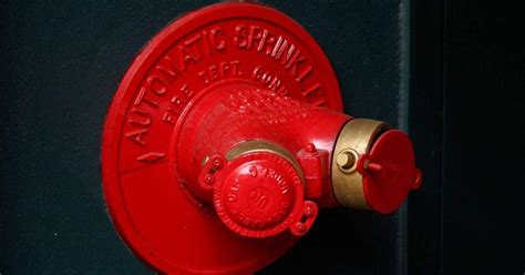 Should I Turn Off Wordpress Automatic Updates