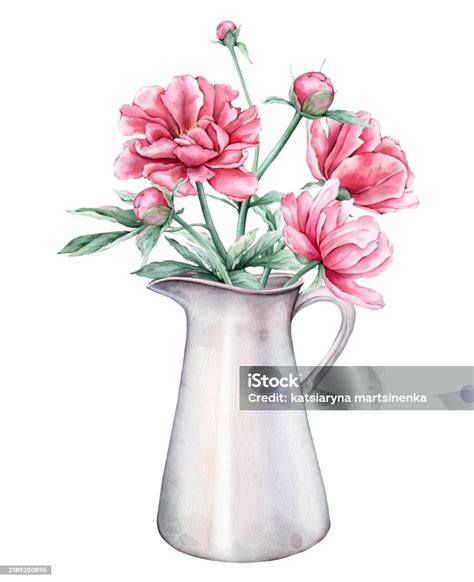 만개한 섬세한 분홍색 모란 꽃의 수채화 꽃다발 손으로 그린 그림 아름 다운 꽃 밝은 색 주전자 또는 우유 항아리 고립 된 여름 식물 식물 그리기에 대한 스톡 벡터 아트 및