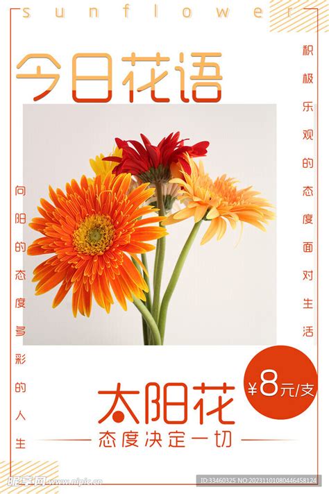 今日花语设计图 广告设计 广告设计 设计图库 昵图网