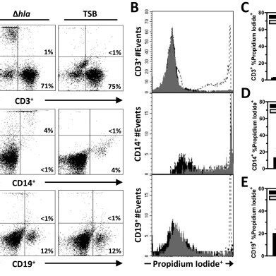 A Representative Flow Cytometry Dot Plots Of Human PBMCs Stained With Download Scientific