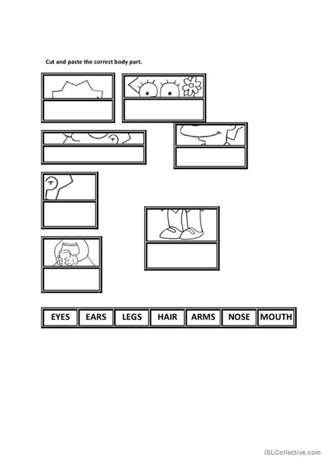 Cut And Paste Body Parts English Esl Worksheets Pdf And Doc