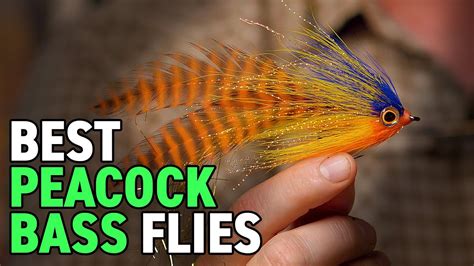 Bass Fly Lures At Deidra Mckoy Blog