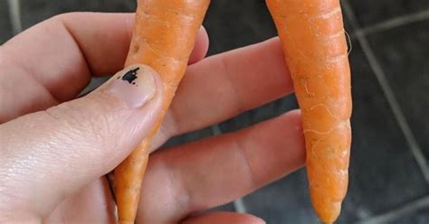 Dad Says Carrot In Tesco Order Looks So Rude He Cant Feed It To His