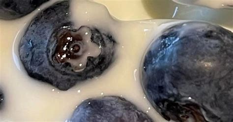 Lidl Shopper Left Baffled As Mystery Coded Message Found Written On Blueberry Irish Mirror Online