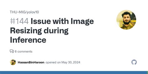 Issue With Image Resizing During Inference · Issue 144 · Thu Mig