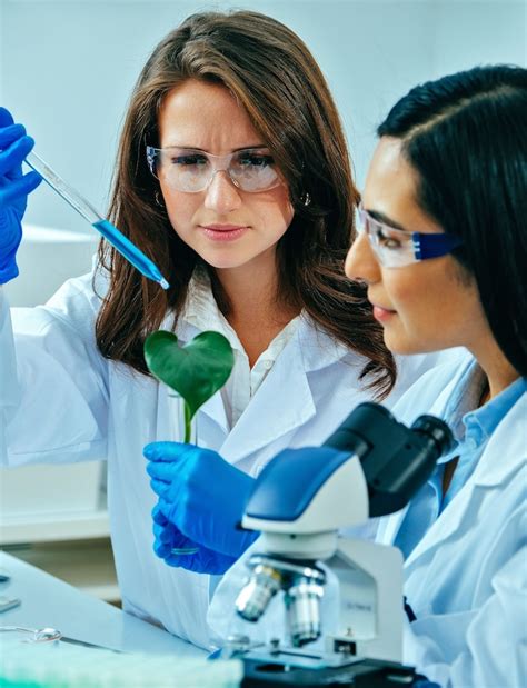 Services Wertec Gmbh