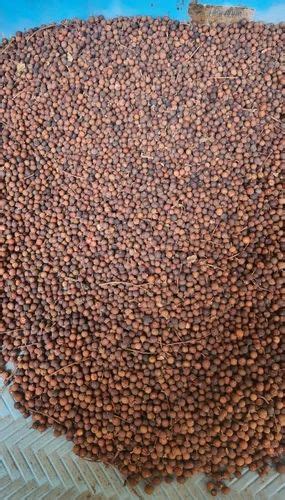 Red Embelia Ribes At ₹ 600 Kg Embelia Ribe Herb In Dapoli Id 2850557867691